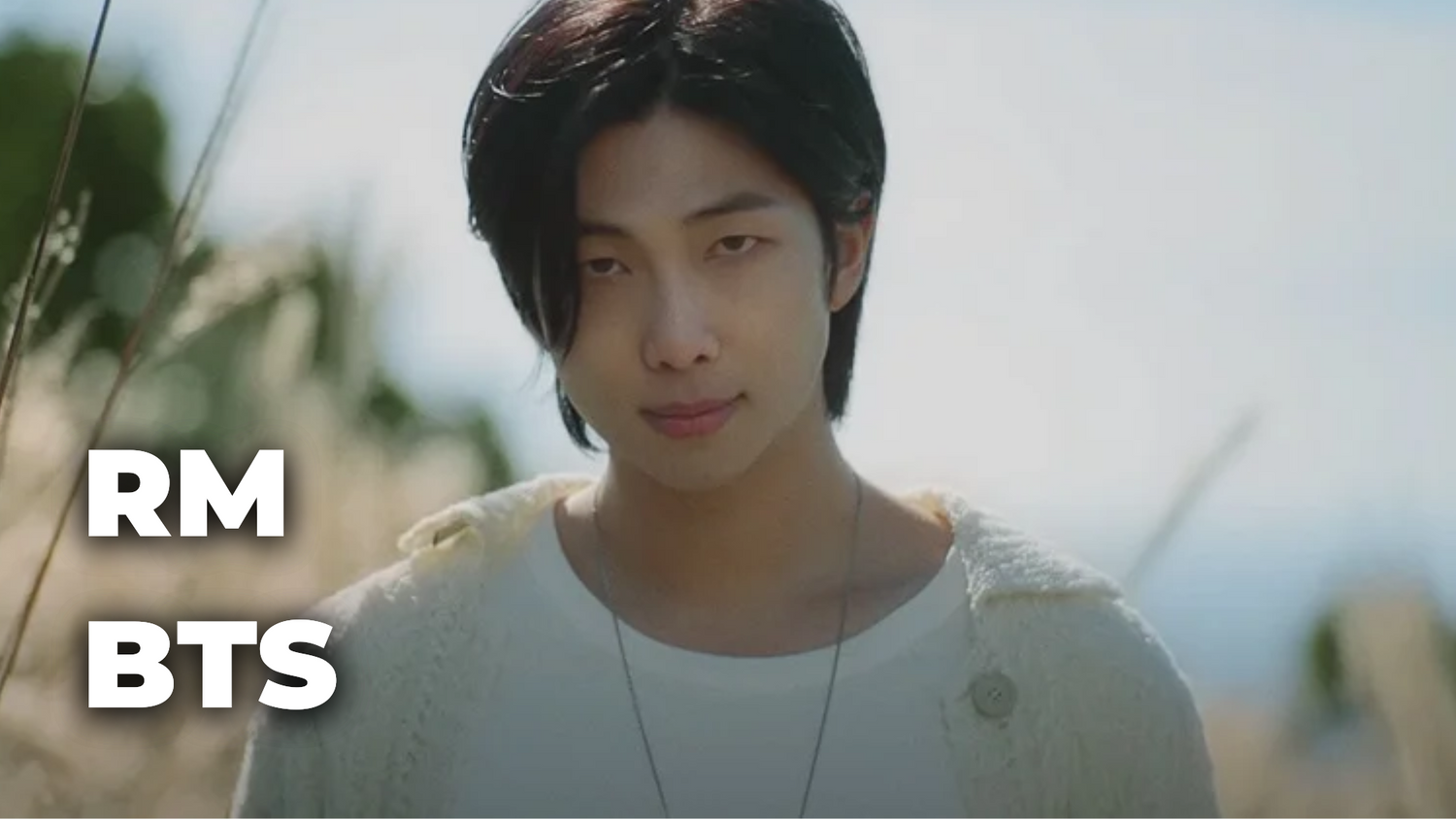 Quem é RM do BTS? Apresentação e Fatos | Roupas Kpop – KPOP Clothes